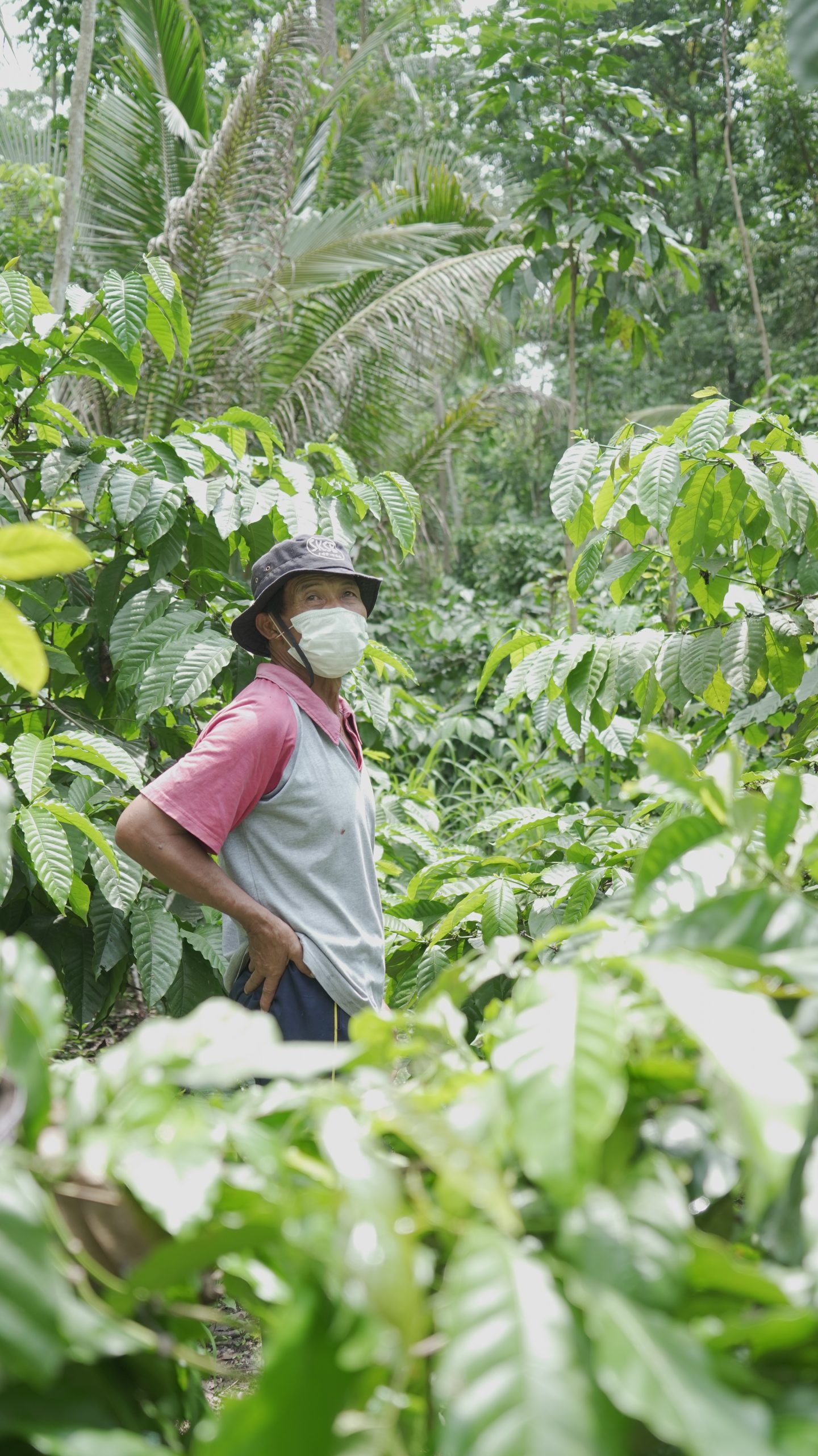 Merapi Techno Coffee | Kopi Dari Lereng Gunung Merapi